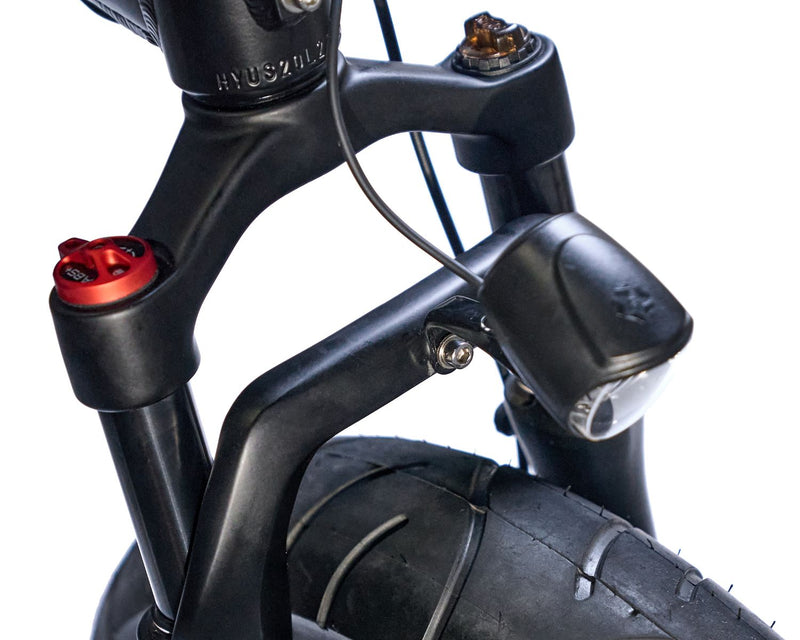 BELUGA PLUS – Qualisports USA