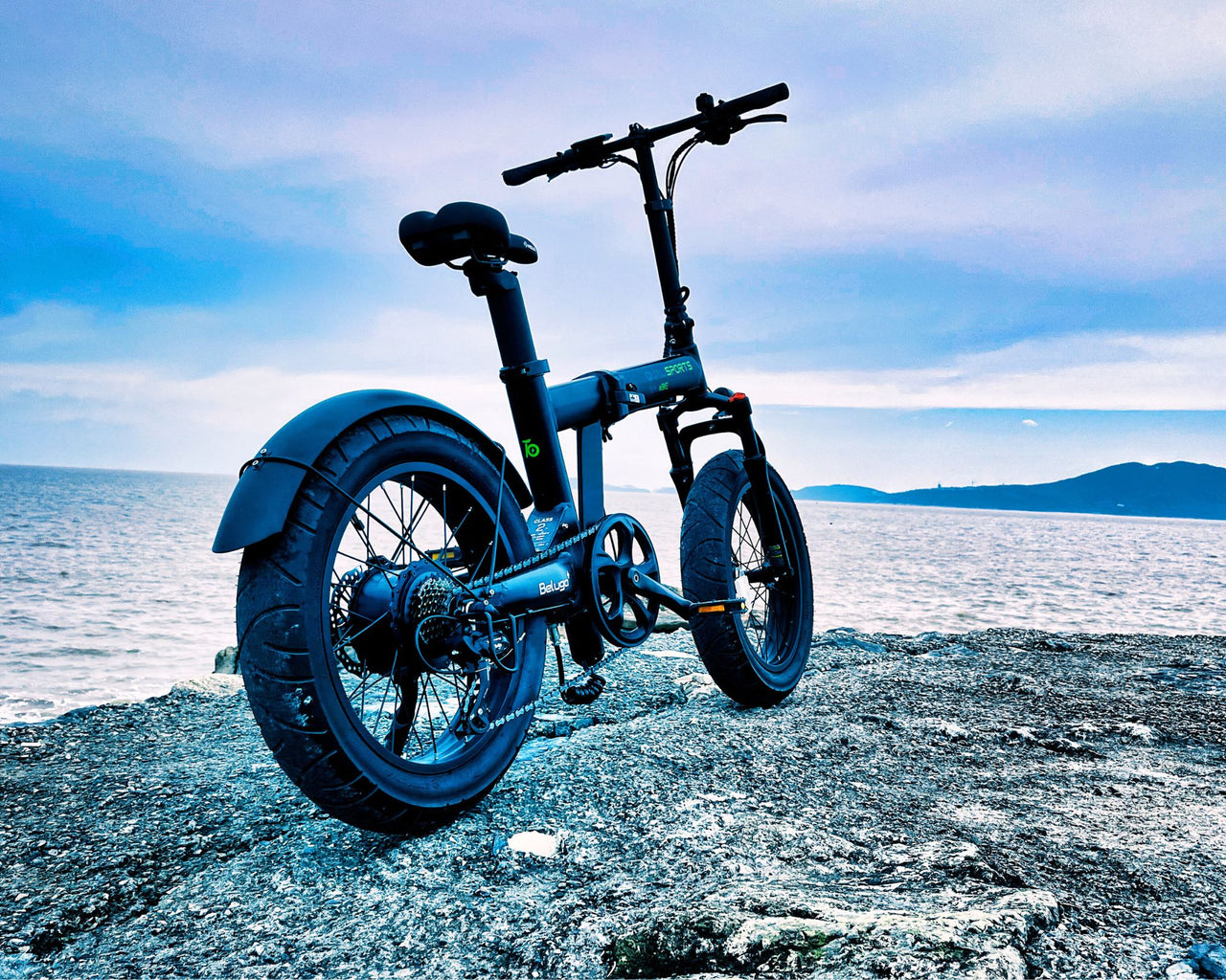 Beluga - Foldable Light Off-Road E-Bike – Qualisports USA